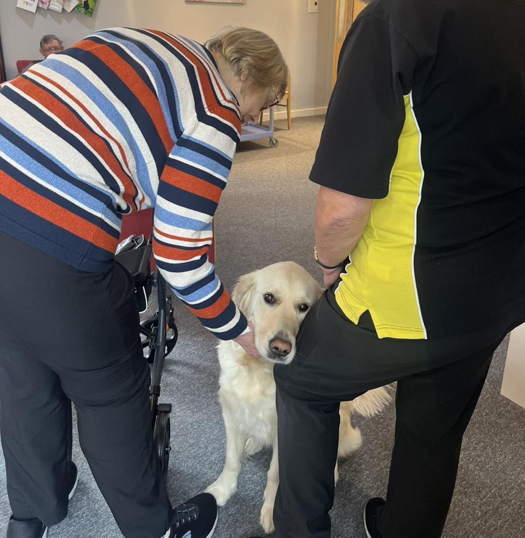 Therapy Dogs, Nationwide - The East Lancashire Masonic Charity
